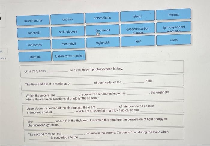 Solved On a tree, each acts like its own photosynthetic | Chegg.com