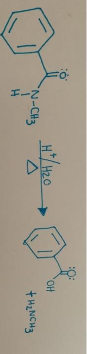 Solved H/H2O "OH "N-CH₃ H. + H₂NCH3 | Chegg.com