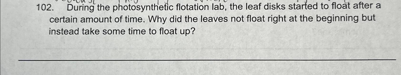 Solved During the photosynthetic flotation lab, the leaf | Chegg.com
