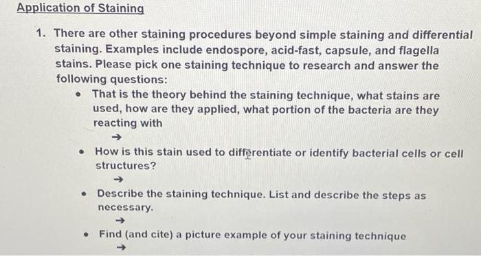 Solved 1. There are other staining procedures beyond simple | Chegg.com