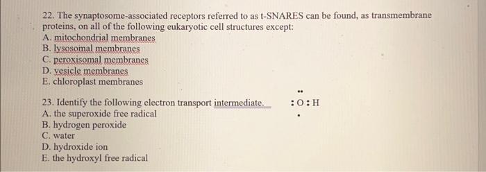 Solved 22. The synaptosome-associated receptors referred to | Chegg.com