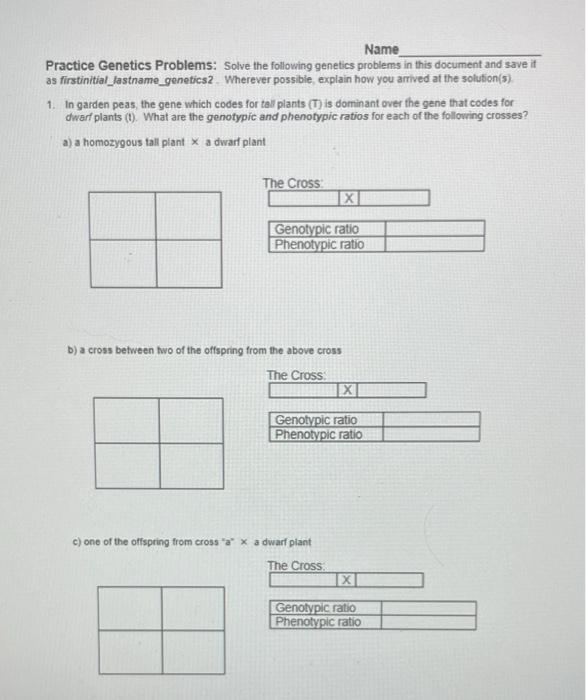 Solved Name Practice Genetics Problems: as | Chegg.com