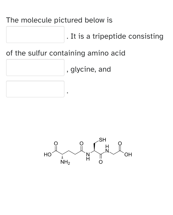 Solved The molecule pictured below is. ﻿It is a tripeptide | Chegg.com