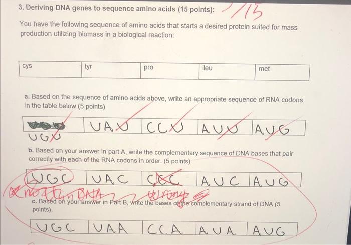 Solved 3. Deriving DNA genes to sequence amino acids (15 | Chegg.com