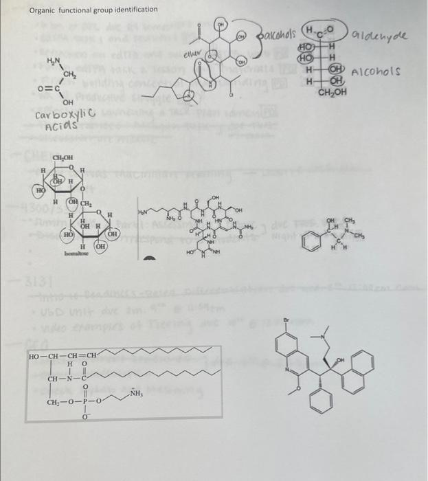 Solved Organic functional group identification aldenyde | Chegg.com