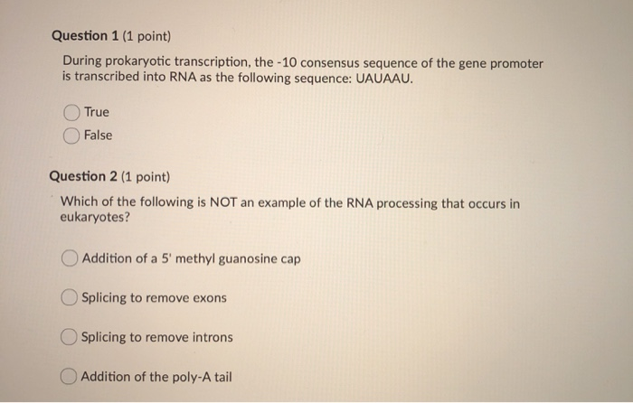 Solved Question 1 (1 point) During prokaryotic | Chegg.com