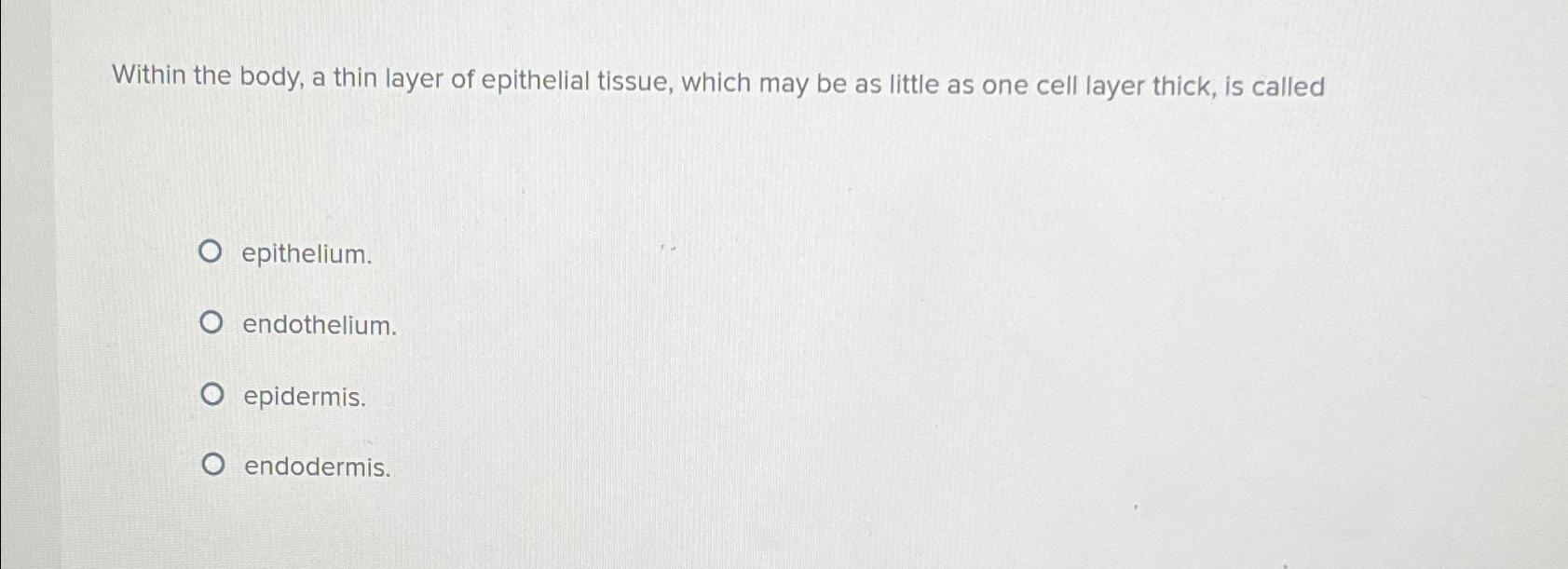 Solved Within the body, a thin layer of epithelial tissue, | Chegg.com