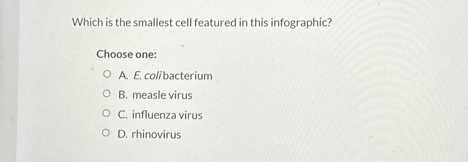 Solved Which is the smallest cell featured in this | Chegg.com