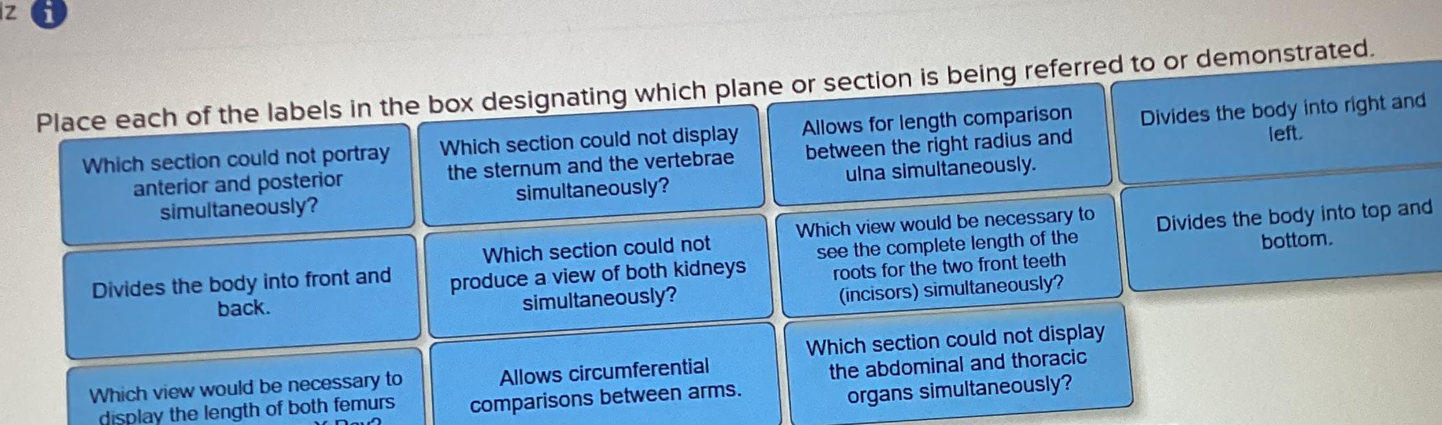 Solved Place each of the labels in the box designating which | Chegg.com