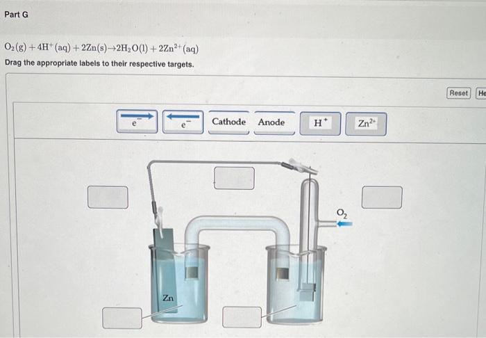 Solved Label the anode and cathode, indicate the direction | Chegg.com