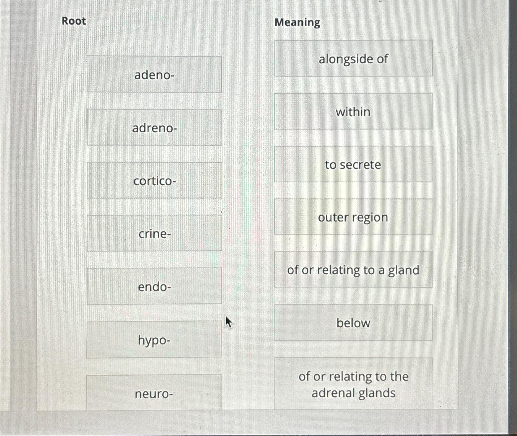 Solved RootMeaning\table[[adeno-,alongside | Chegg.com