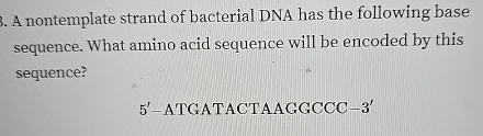 Solved A nontemplate strand of bacterial DNA has the | Chegg.com