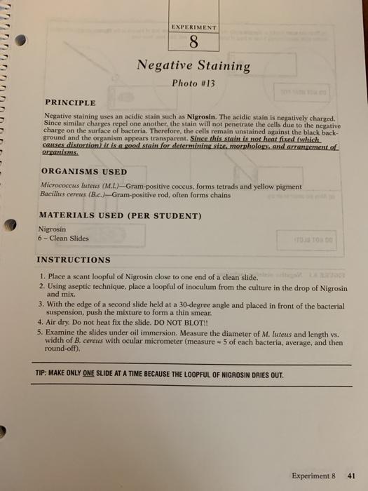 EXPERIMENT 8 Negative Staining Photo #13 PRINCIPLE | Chegg.com