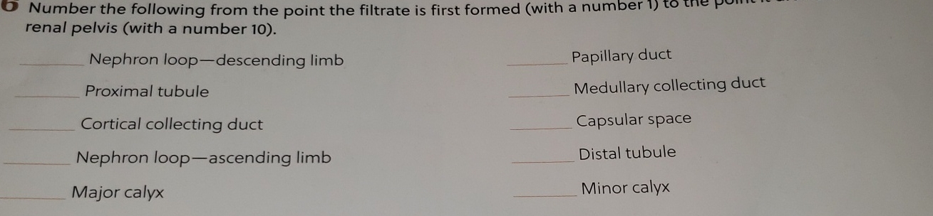Solved Number the following from the point the filtrate is | Chegg.com