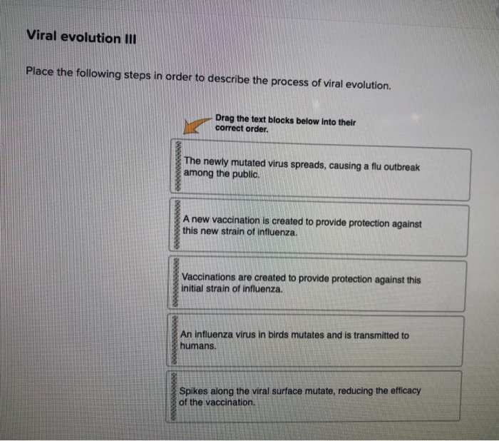 Solved Viral evolution III Place the following steps in | Chegg.com