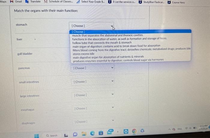 Solved Match the organs with their main function: stomach | Chegg.com