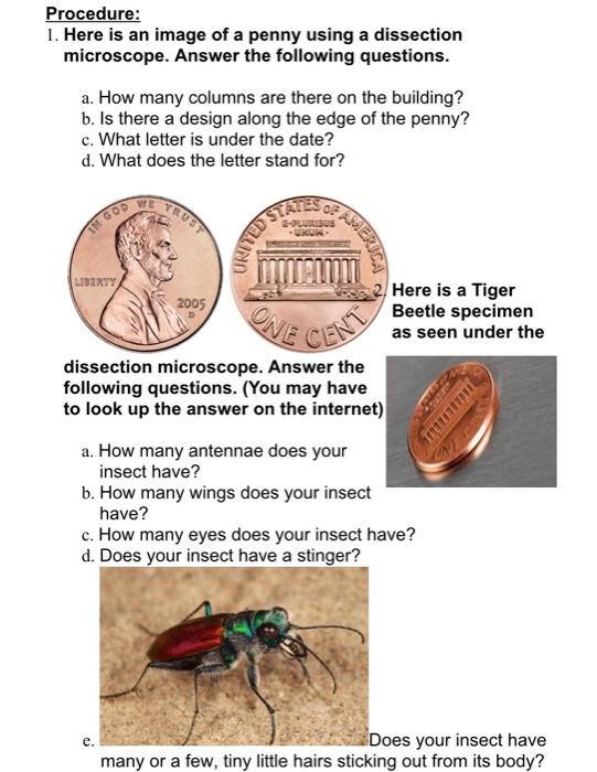 Solved Procedure: 1. Here is an image of a penny using a | Chegg.com