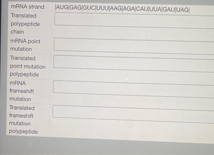 Solved mRNA strand |AUG|GAG|GUC|UUU|AAG|AGA|CAU|UUA|GAU|UAG| | Chegg.com