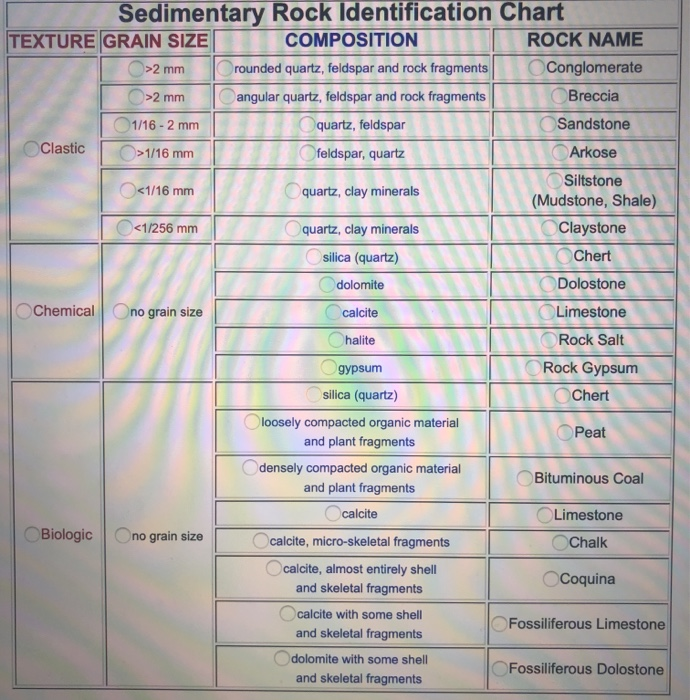 Solved Identify sedimentary rock #1 Conglomerate Rock Salt | Chegg.com