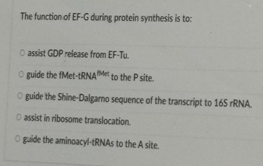 Solved The function of EF-G during protein synthesis is to: | Chegg.com