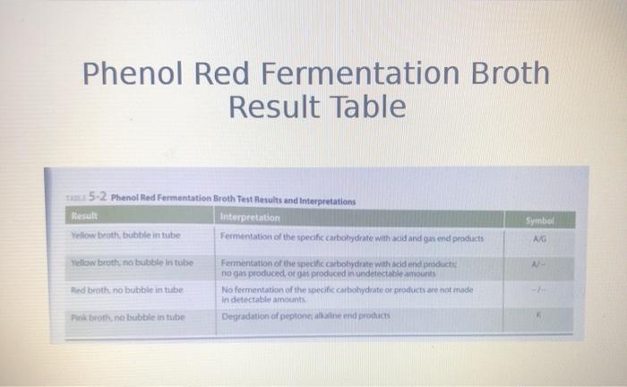Solved Biochemical Testing Results and Interpretation: | Chegg.com