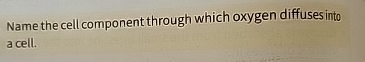 Solved Name the cell component through which oxygen diffuses | Chegg.com