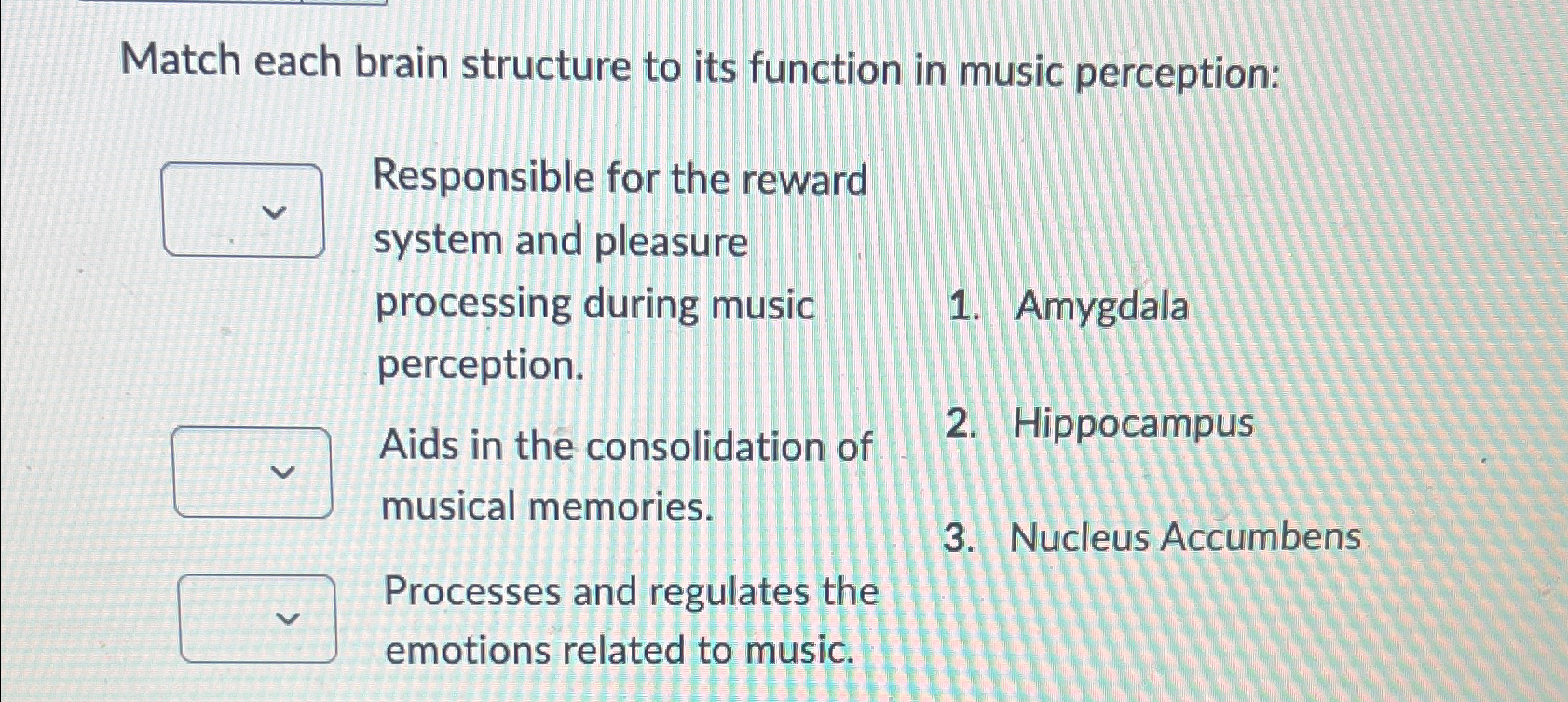 Solved Match each brain structure to its function in music | Chegg.com