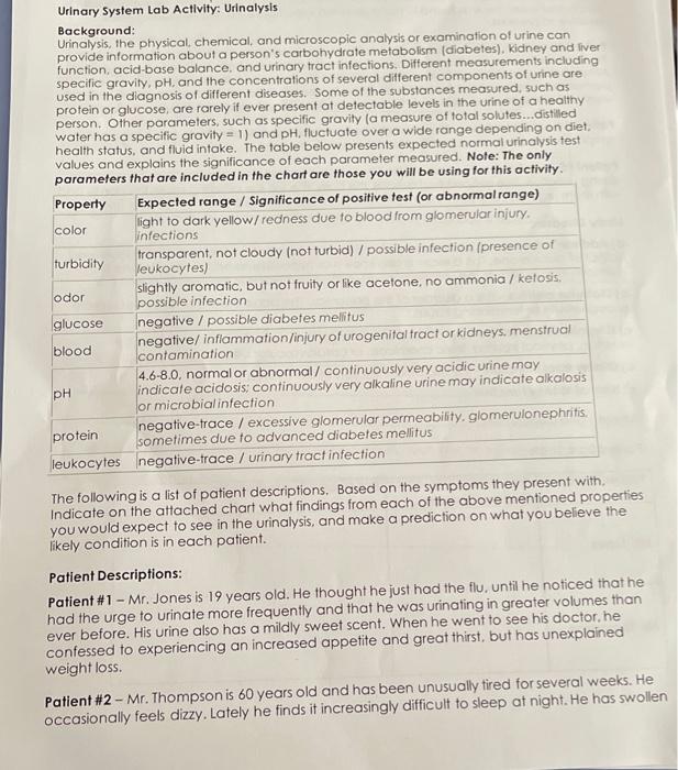 Solved Urinary System Lab Activity: Urinalysis Background: | Chegg.com