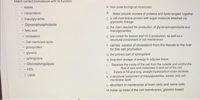 Solved Match correct biomolecule with its function waxes A. | Chegg.com