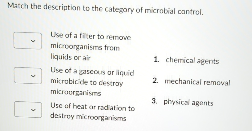 Solved Match the description to the category of microbial | Chegg.com