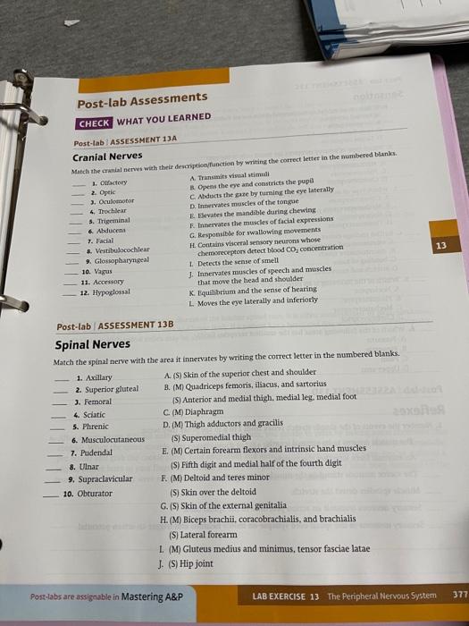 Solved Post-lab Assessments CHECK WHAT YOU LEARNED Post-lab | Chegg.com