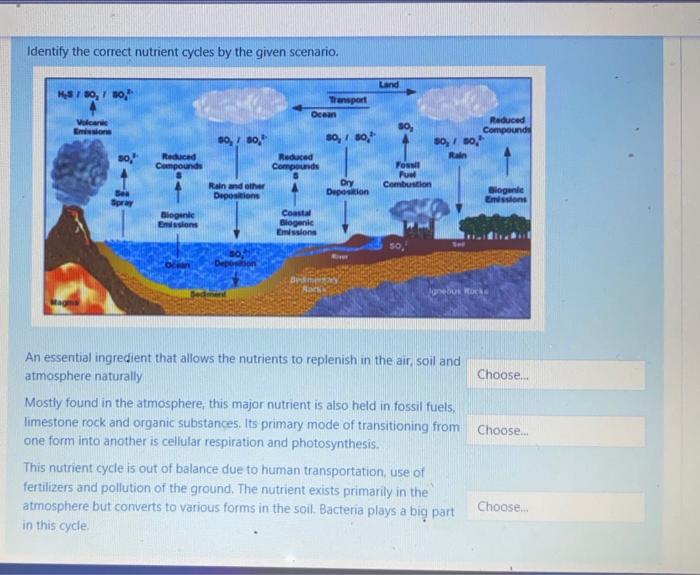 Solved Identify the correct nutrient cycles by the given | Chegg.com