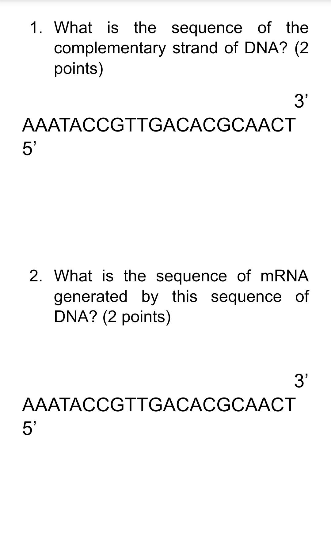 2 What Is The Sequence Of MRNA Generated By This Chegg