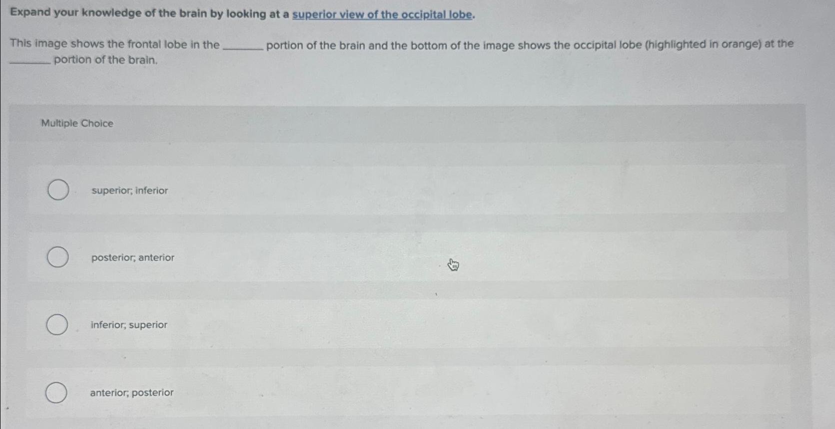 Solved Expand your knowledge of the brain by looking at a | Chegg.com