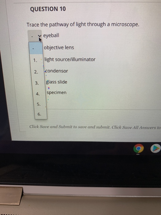 Solved condensor QUESTION 10 Trace the pathway of light | Chegg.com