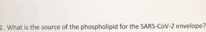 Solved 2. What is the source of the phospholipid for the | Chegg.com
