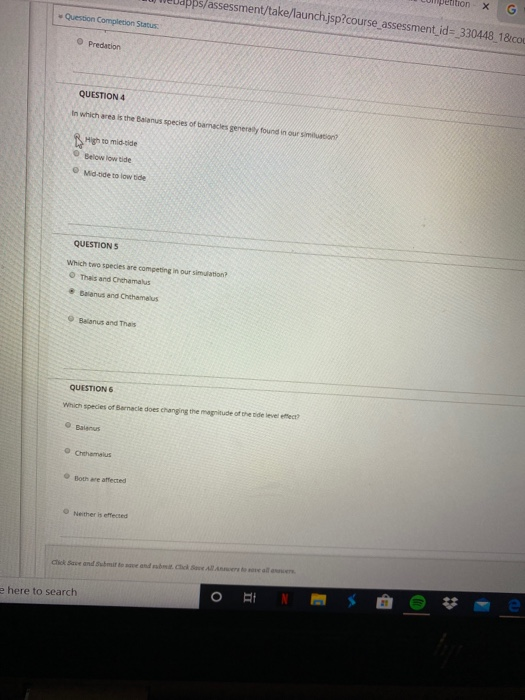Solved pps/assessment/take/launchjsp?course | Chegg.com