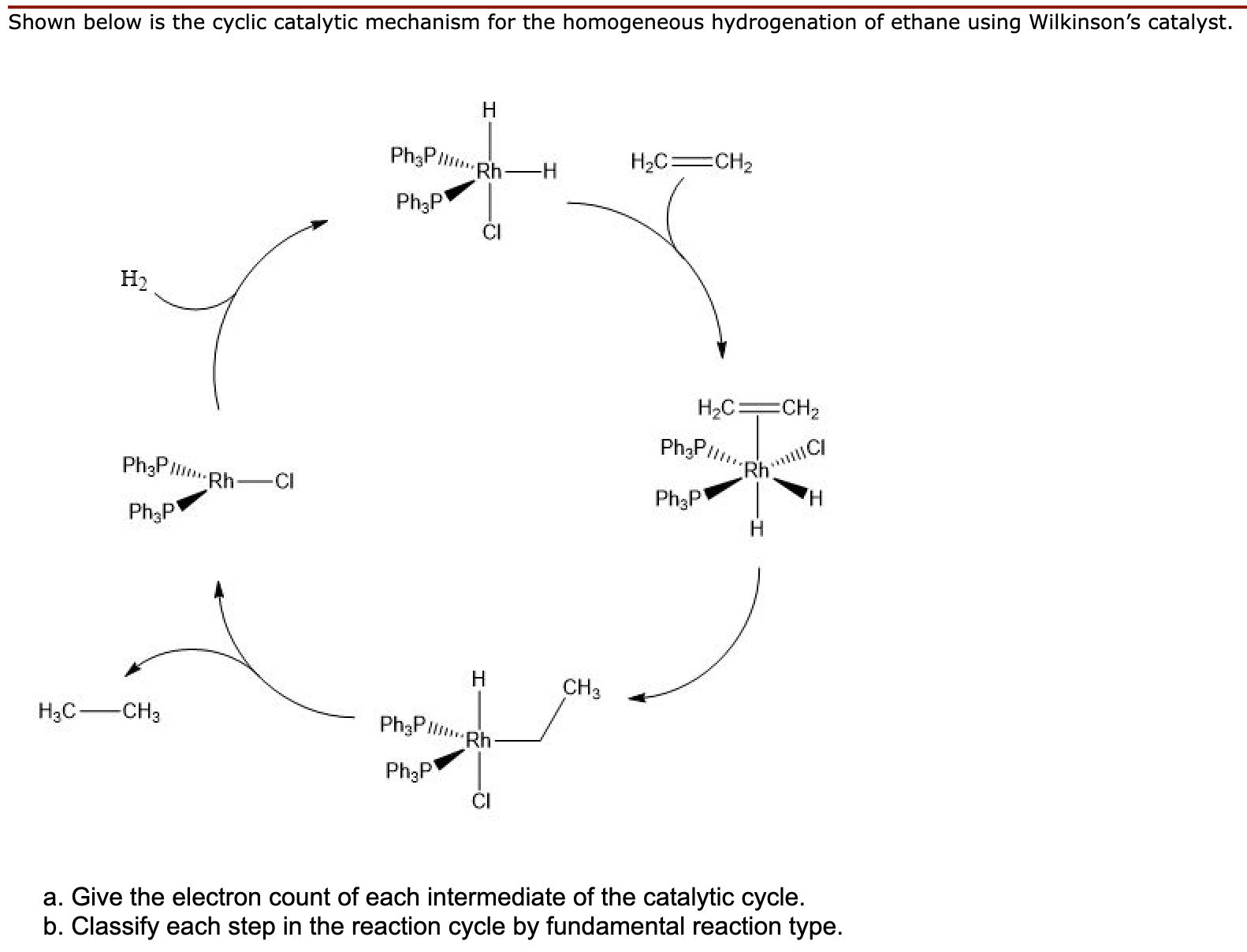 Solved Shown below is the cyclic catalytic mechanism for the | Chegg.com