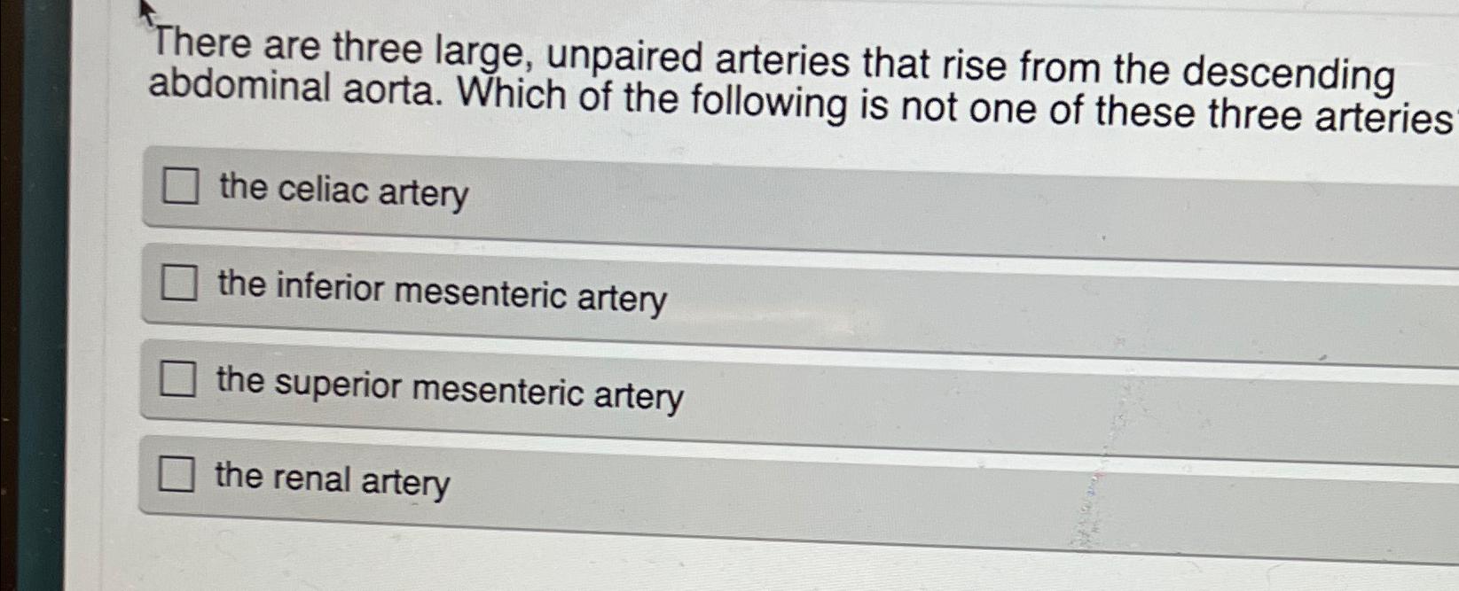 Solved There are three large, unpaired arteries that rise | Chegg.com