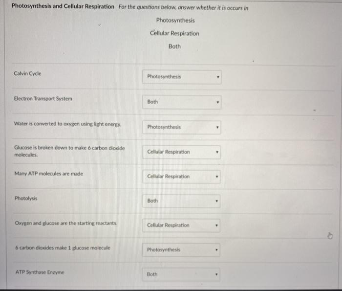 Solved Photosynthesis and Cellular Respiration For the | Chegg.com
