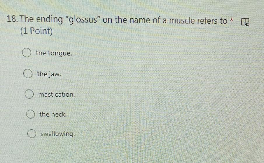 Solved 18. The ending "glossus" on the name of a muscle | Chegg.com