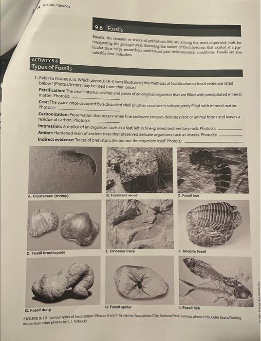 Solved Fossils, the remains or tracer of grohistric lift, | Chegg.com