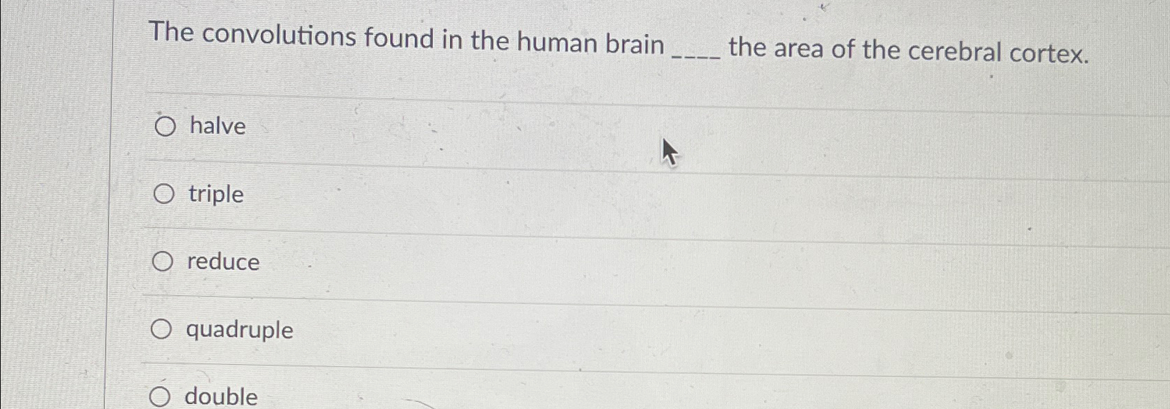 Solved The convolutions found in the human brain the area of | Chegg.com