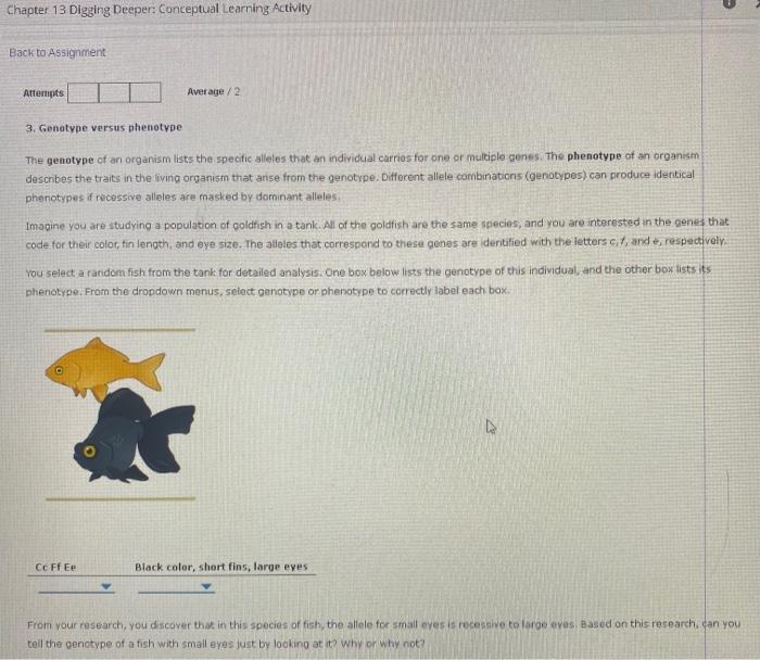 Solved Chapter 13 Digging Deeper: Conceptual Learning | Chegg.com