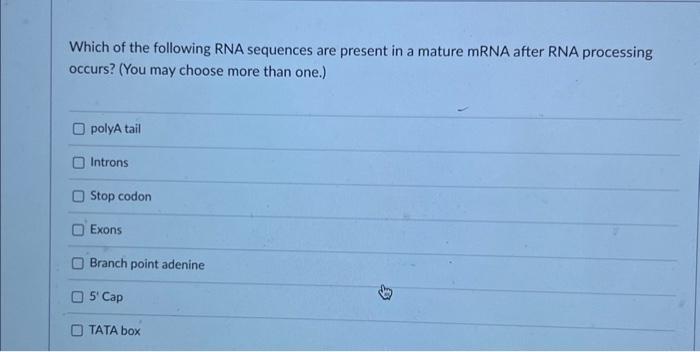 Solved Which of the following RNA sequences are present in a | Chegg.com