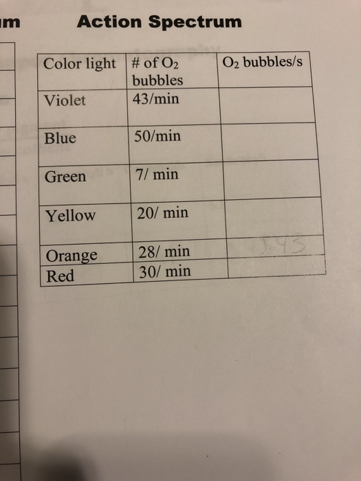 Solved im Action Spectrum Color light O2 bubbles/s # of O2 | Chegg.com