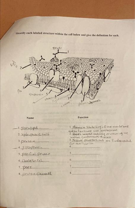 Solved could you please help me with this ,And I'm not sure | Chegg.com