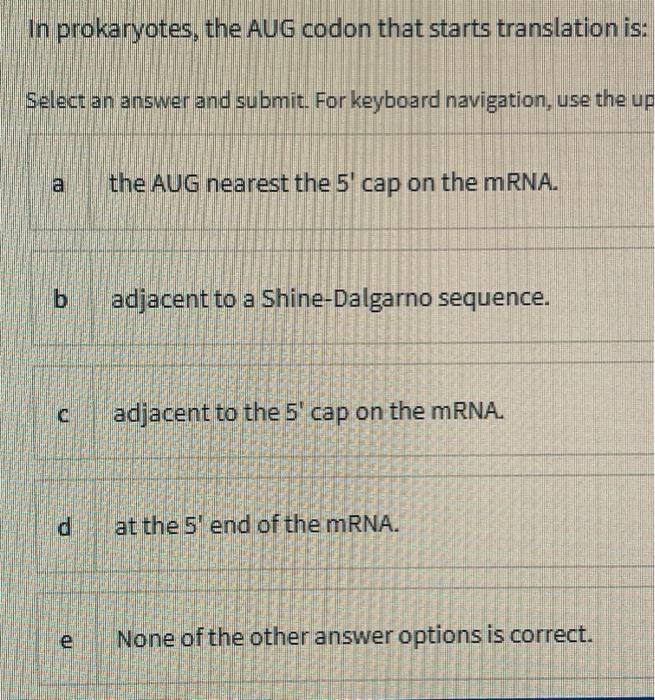 Solved In prokaryotes, the AUG codon that starts translation | Chegg.com