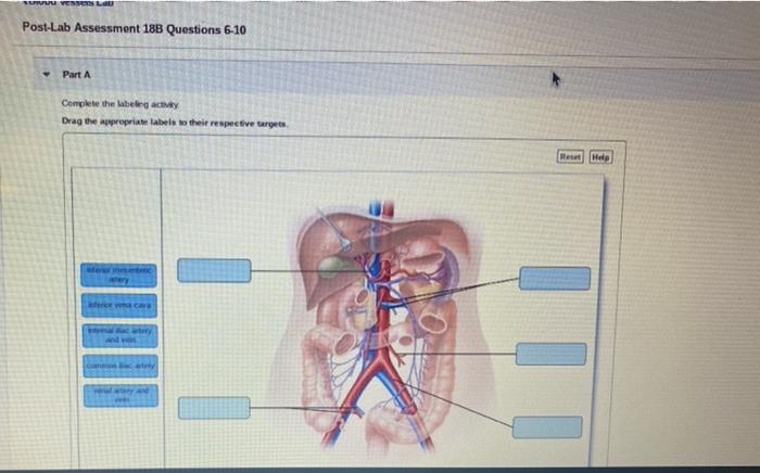 Solved UUUU VENNESLA Post-Lab Assessment 180 Questions 6-10 | Chegg.com