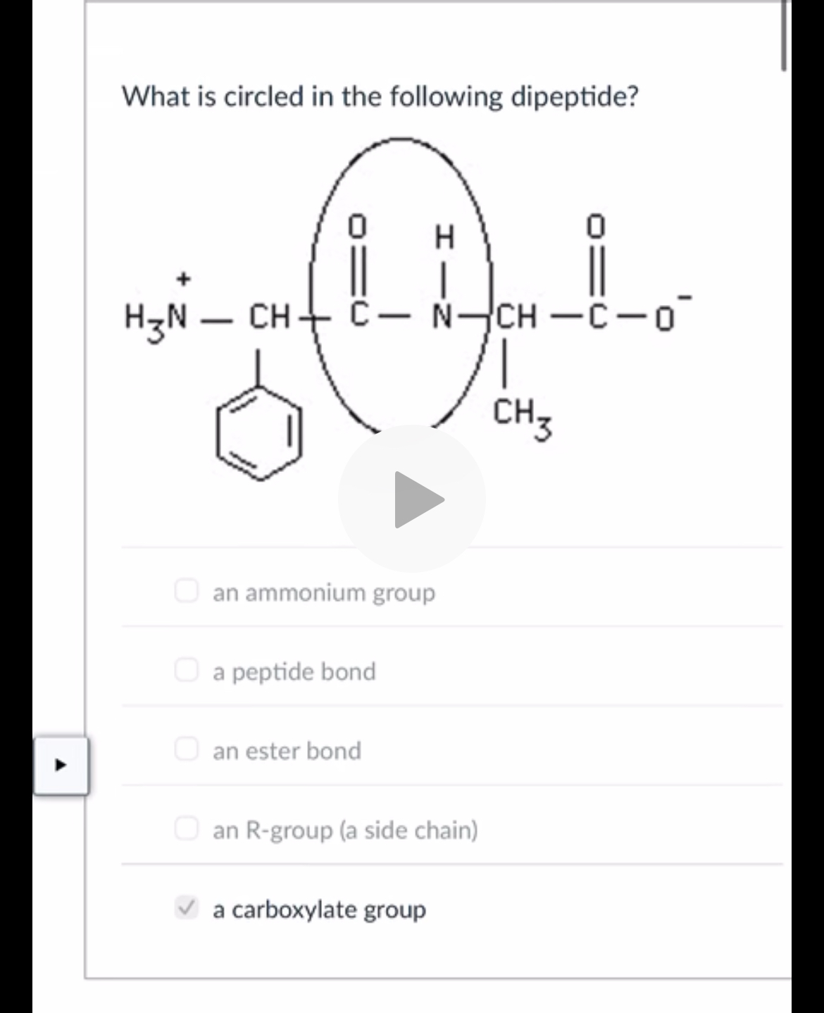 Solved What is circled in the following dipeptide?an | Chegg.com